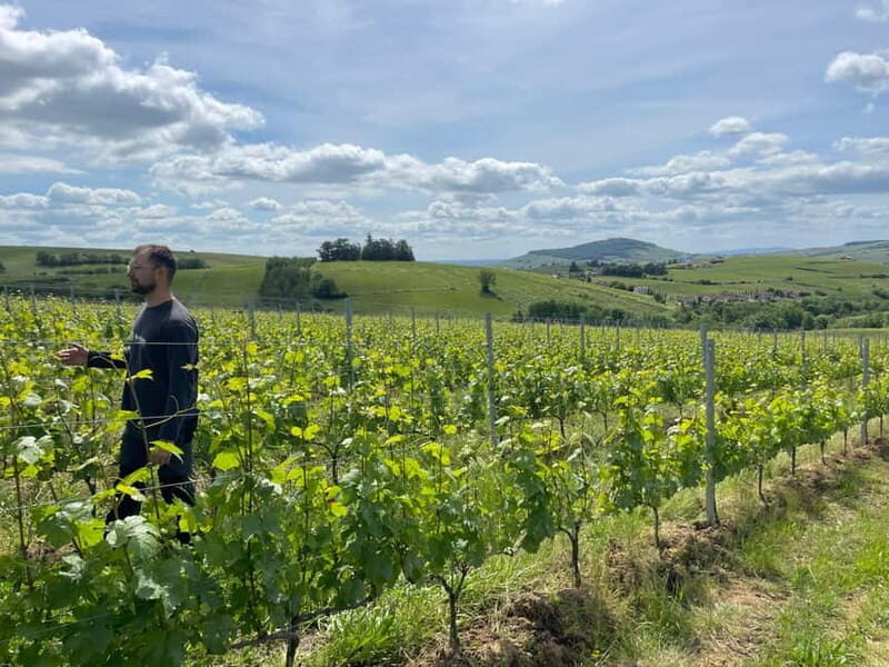 Private Rhône-Valley wine tour - Key Points