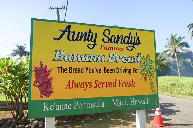 Private Road to Hana Rainforest & Waterfall Experience from Maui - Who is This Tour Best For?