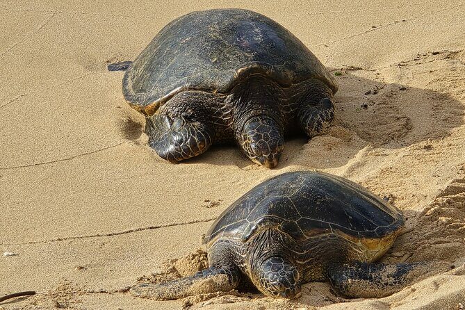 Private Road to Hana Tour with Pickup - Final Thoughts