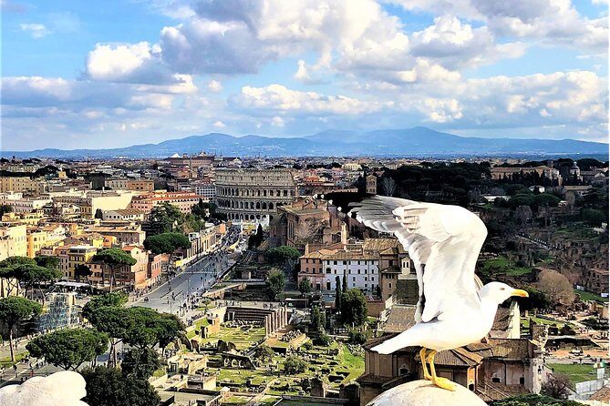 Private Rome WOW Tour in 1 Day: Luxury Car, Guide, Tkts & Lunch! - The Itinerary: What to Expect from Start to Finish