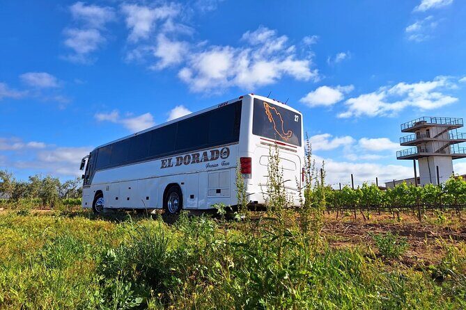 Private Round Transportation from Tijuana to Valle de Guadalupe - Final Thoughts