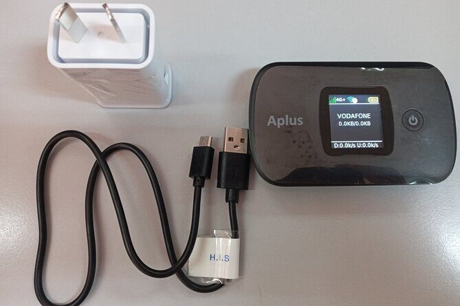 Private Round-trip Nadi Airport to Hotels+Unlimited Data Pocket Wi-Fi rental - How This Transfer Fits into Your Fiji Trip