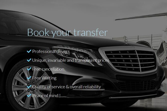 Private round trip transfer from/to PARIS DISNEYLAND - Practical Details and Considerations