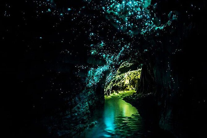 Private Round Trip Transport To Waitomo Caves From Auckland - Key Points