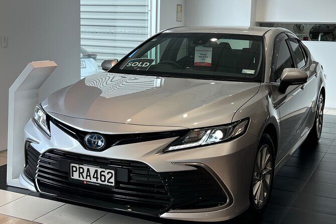 Private Round Trip Transport To Waitomo Caves From Auckland - Who Is This Tour Perfect For?