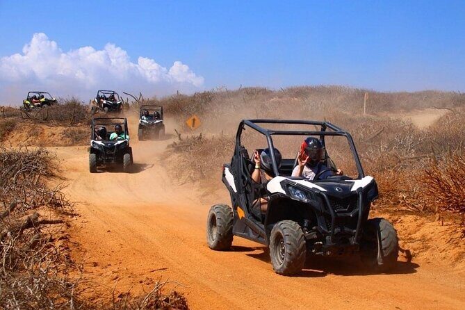 Private RZR tour, handmade quesadillas and Pacific Arch! - Authentic Insights from Reviews