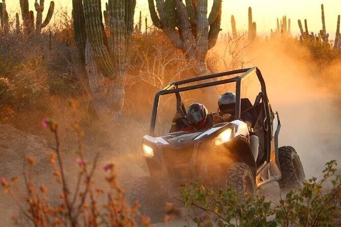 Private RZR tour, handmade quesadillas and Pacific Arch! - FAQ