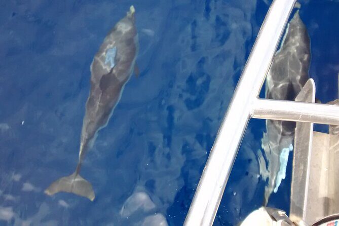private sailing cruises - Who Will Love This Tour?