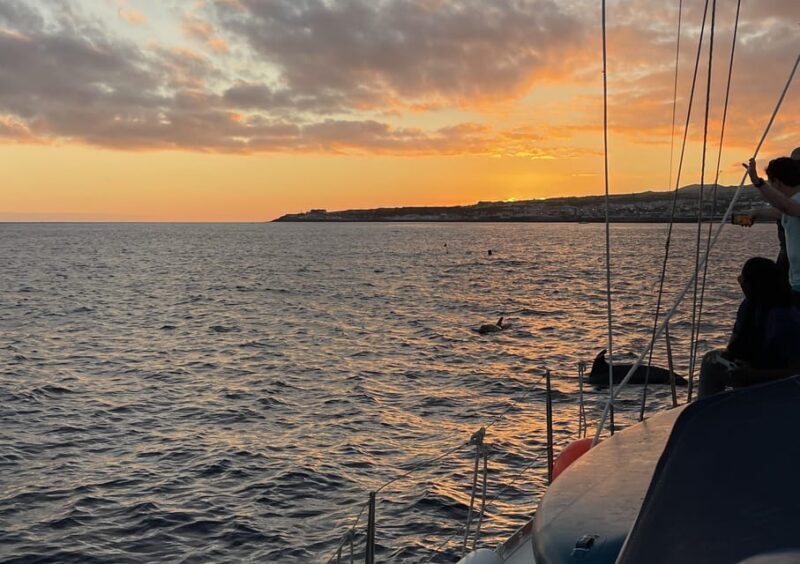 Private Sailing Sunset Tour PDL - Who Would Love This Tour?