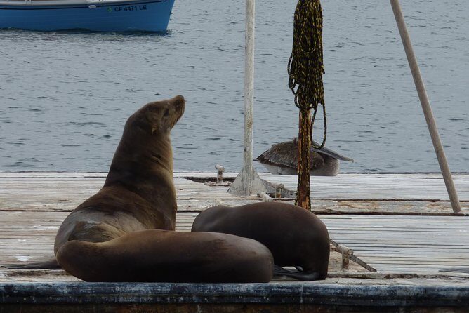 Private Sailing Tour -2 Hour (Up to 12 Passengers) - Introduction