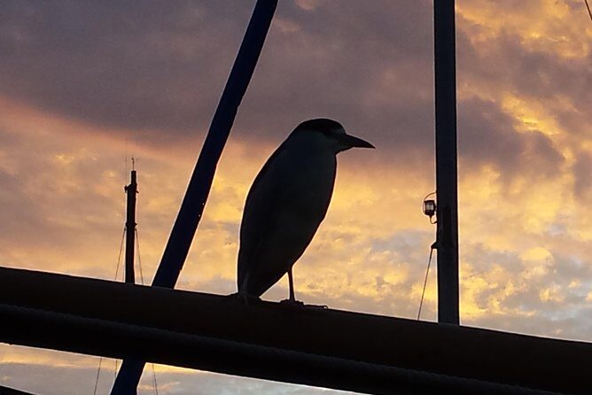 Private Sailing Tour -2 Hour (Up to 12 Passengers) - Who Will Love This Tour?