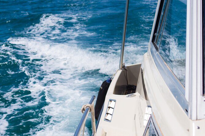 Private Sailing Tours in Zadar Archipelago - What You’ll Love About This Tour