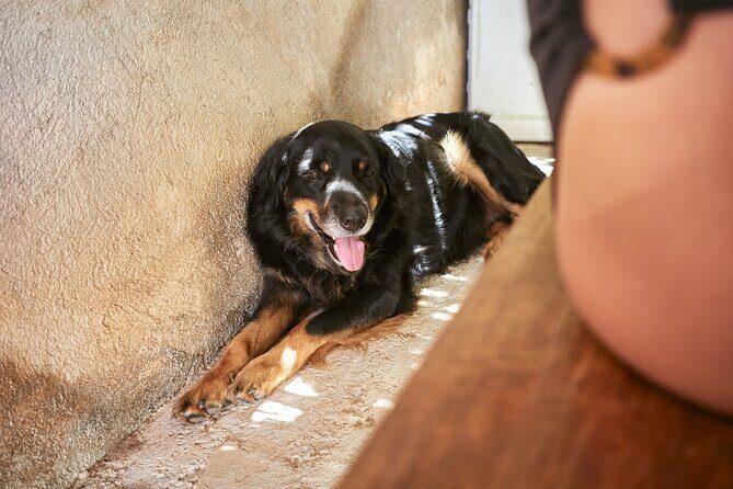 Private Sandal Making in Palma de Mallorca - Final Thoughts