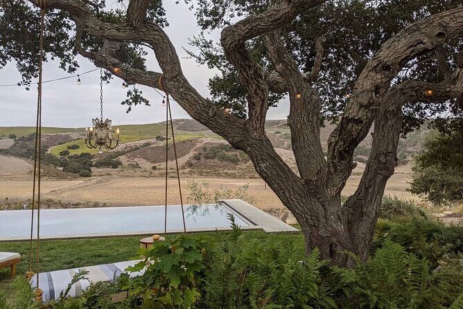 Private Santa Ynez Valley Wine Tasting Tour for up to 4 guests - Discover the Santa Ynez Valley with a Private Wine Tasting Tour