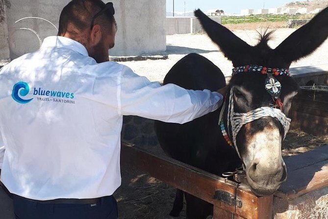 Private Santorini 4-Hours Tour : Oia, Megalochori & wine tasting - Stop 2: Imerovigli