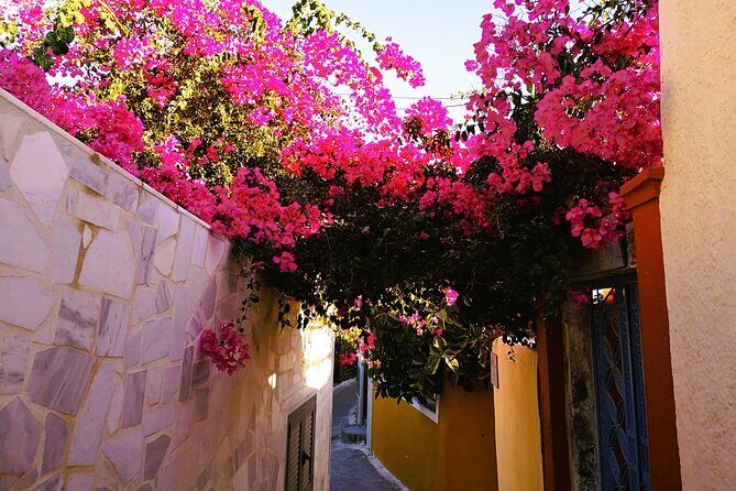 Private Santorini Highlights Tour with Easy and Flat Walks - FAQ