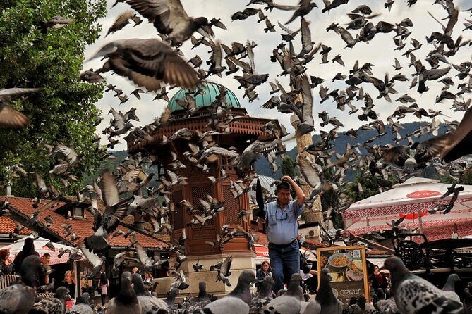 Private Sarajevo Grand Tour: Included Pick-up & Entrance Fees - Practical Tips for Travelers