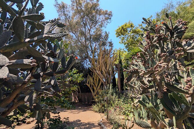 Private Scavenger Hunt in San Juan Capistrano Tour - Why This Tour Offers Good Value