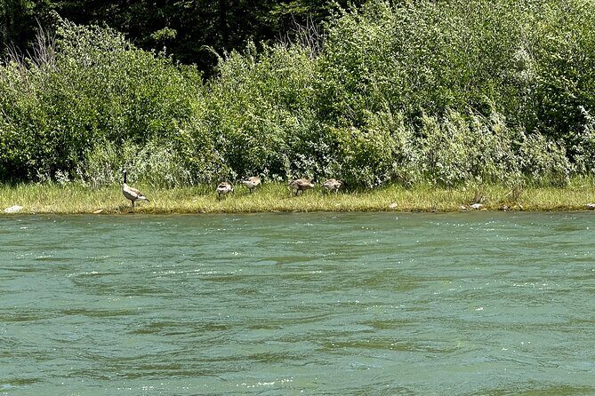 Private Scenic Snake River Float - Grand Teton Nat'l Park - Is It Worth the Price?