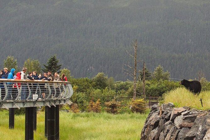 Private Scenic Turnagain Arm Glacier Tour from Anchorage - Stop 1: Beluga Point – Your First Taste of Scenic Alaska
