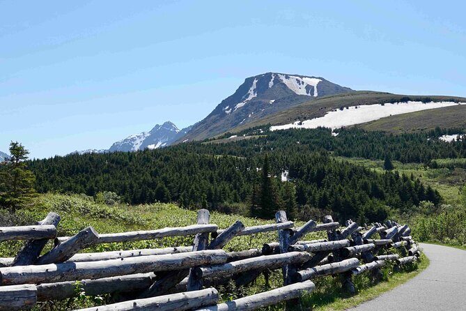 Private Scenic Turnagain Arm Glacier Tour from Anchorage - Stop 3: Alaska Wildlife Conservation Center (AWCC)