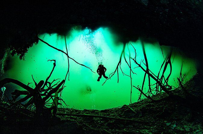 Private Scuba Diving in Cenote around Playa del Carmen - Authentic Experiences from Reviewers