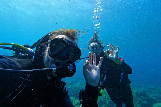 Private Scuba Diving in Tenerife  Certified Instructor & Photos - The Final Verdict
