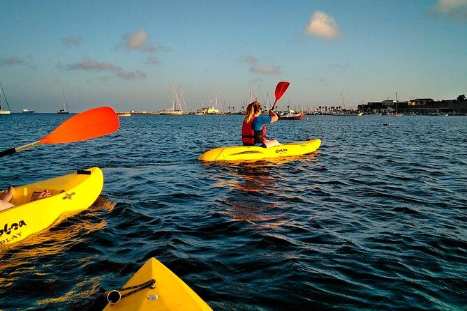 Private Sea Kayaking in Cascais, Lisbon - Price and Value