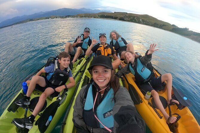 Private Seal Kayaking and Wildlife Tour in Kaikoura - Authenticity and Authentic Encounters