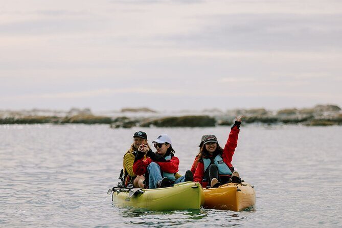 Private Seal Kayaking and Wildlife Tour in Kaikoura - The Sum Up