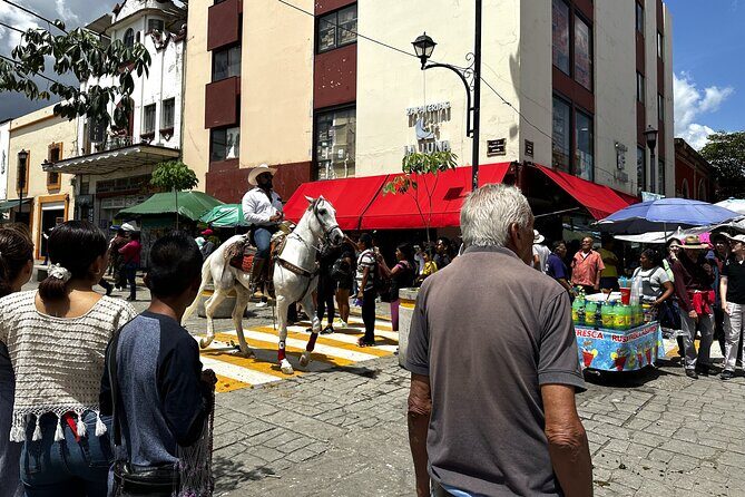 Private Secret Food Tour of Oaxaca de Juarez in Mexico - Who Is This Tour For?