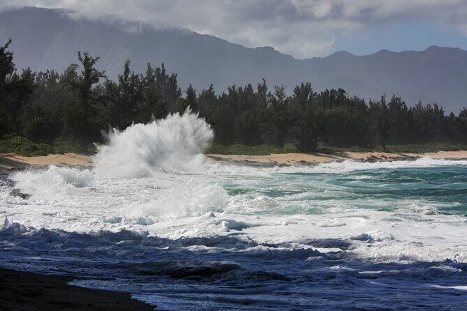 Private Secret Spots Tour on Oahu Hawaii - Who Should Consider This Tour?