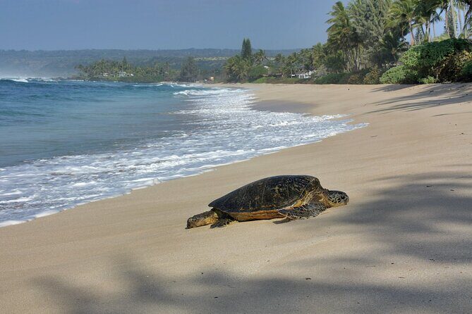 Private Secret Spots Tour on Oahu Hawaii - Final Thoughts