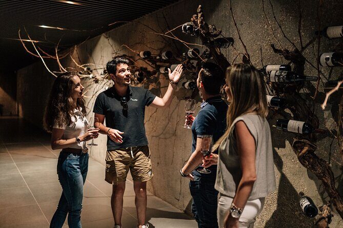 Private Segovia & Ribera del Duero with Wine Tasting from Madrid - Authentic Experiences from Past Travelers