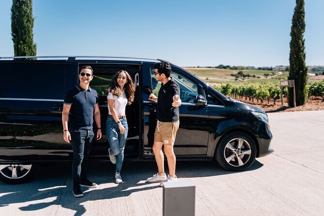 Private Segovia & Ribera del Duero with Wine Tasting from Madrid - Conclusions: Who Will Love This Tour?
