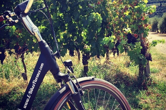 Private Self-Guided E-Bike Ride in Tuscany with Vineyard Visit - Key Points