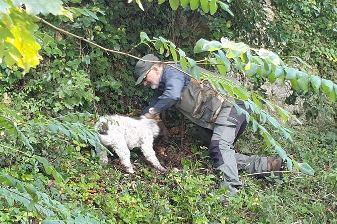 Private Self-Guided E-Bike Ride in Tuscany with Vineyard Visit - The Sum Up: Is This Tour Right for You?