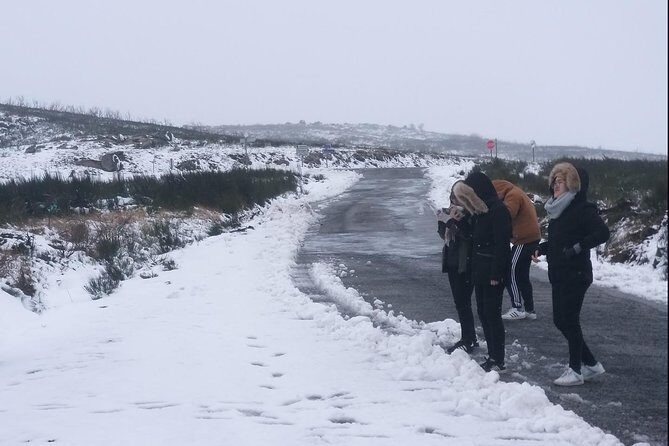 Private Serra da Estrela Gastronomy & Snow Tour from Porto - Who Will Love This Tour?