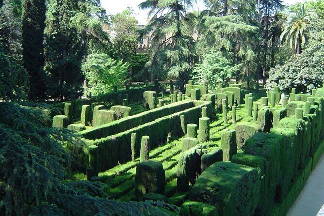 Private Sevilla Tour for families with children and teens... - What Travelers Can Expect: Practical Details