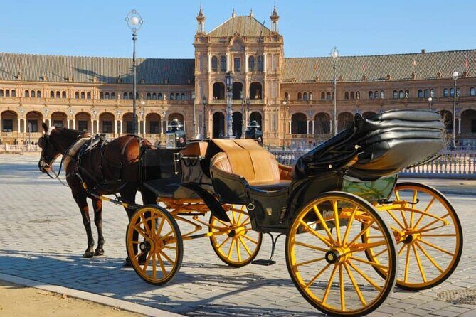 Private Sevilla Tour for families with children and teens... - The Experience Through the Eyes of Past Families