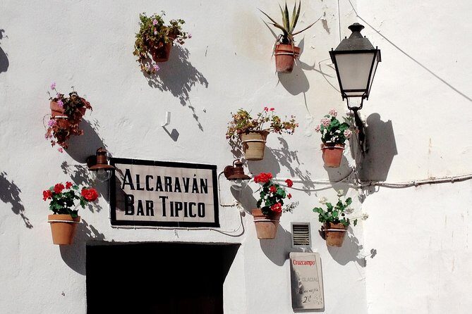 Private Seville Transfer to Malaga Including Visit to Ronda - The Route and What to Expect