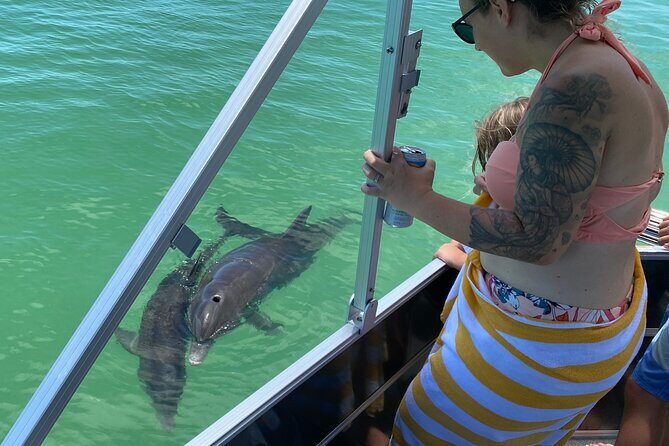 Private Shell Key Island Adventure Dolphins And Shells - FAQs