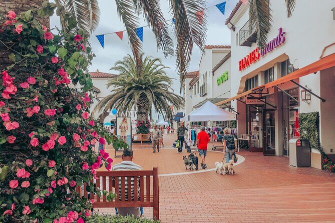 Private Shopping Tour from San Diego to Outlets at San Clemente - Introduction