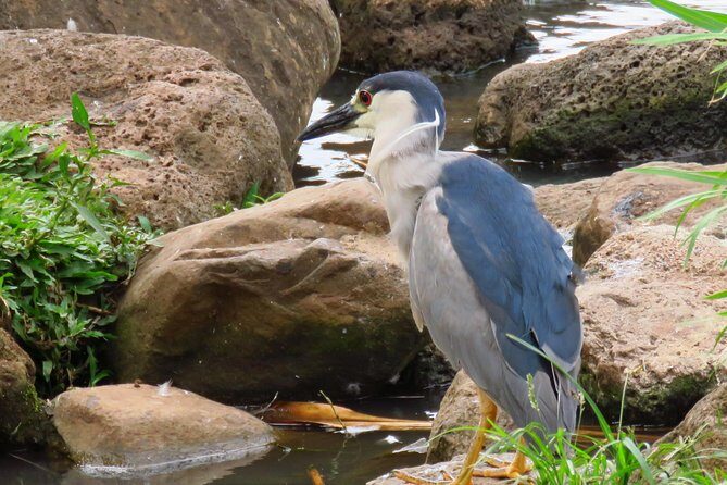 Private Shore Excursion: Best Highlights of Maui - FAQ