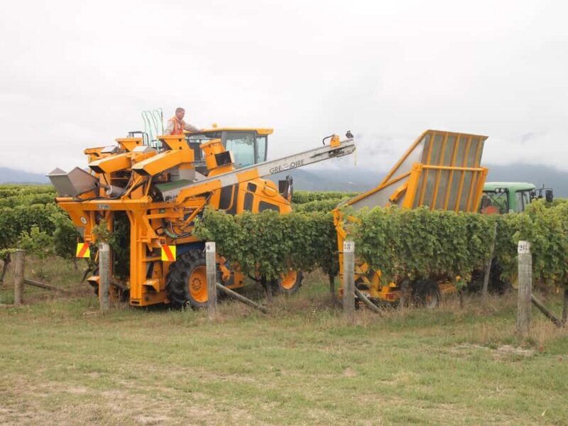 Private Shore Excursion from Picton: Marlborough Highlights - Introduction