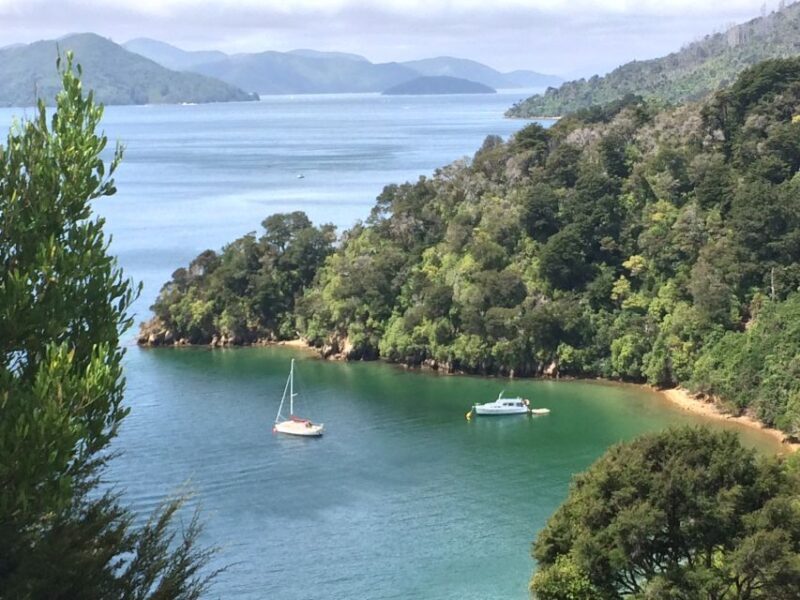 Private Shore Excursion from Picton: Marlborough Highlights - The Sum Up