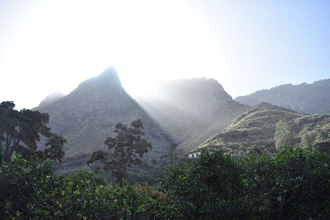 Private Shore Excursion in Gran Canaria - An In-Depth Look at the Tour Itinerary