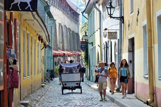 Private Shore Excursion: Tallinn Old Town Walking Tour with Round-Trip Transfer - The Experience and What You’ll Get