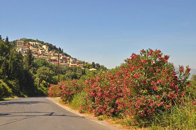 Private Shore Excursion Visit in Corfu with private driver. - In-Depth Review of the Corfu Private Shore Excursion