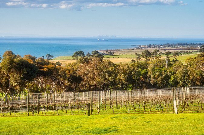 Private Shore Tour: Bellarine Peninsula Wine Experience - FAQ